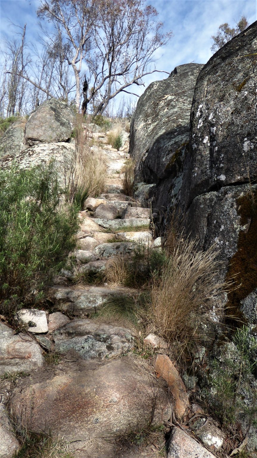 2023 08 03 Mt Tennent Walking Track, Namadgi | Greg's Walks Blog
